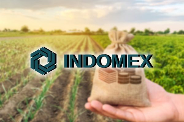 INDOMEX(インドメックス)の詳細・特徴とは？ | TOKEN ECONOMIST