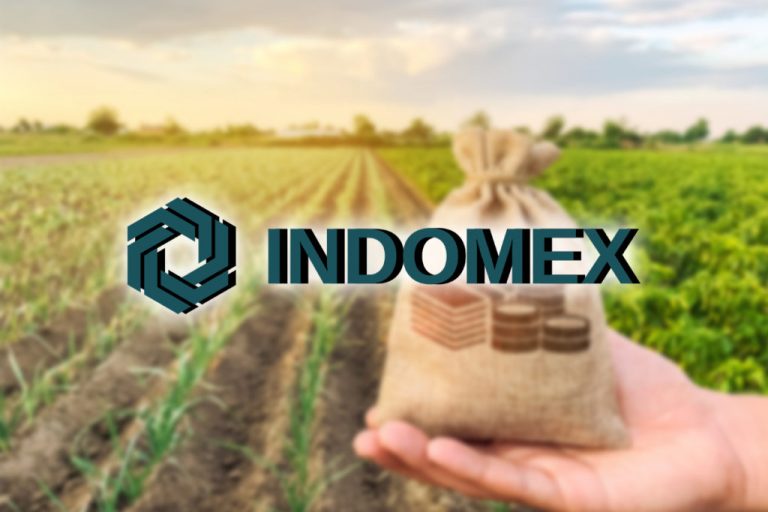 INDOMEX(インドメックス)の詳細・特徴とは？ | TOKEN ECONOMIST