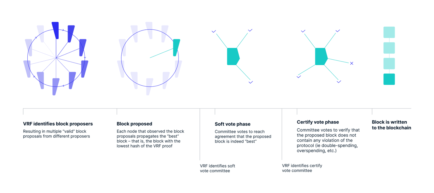 グローバルな金融包摂とボーダレス経済を実現するブロックチェーン「Algorand（ALGO）」の解説 | TOKEN ECONOMIST