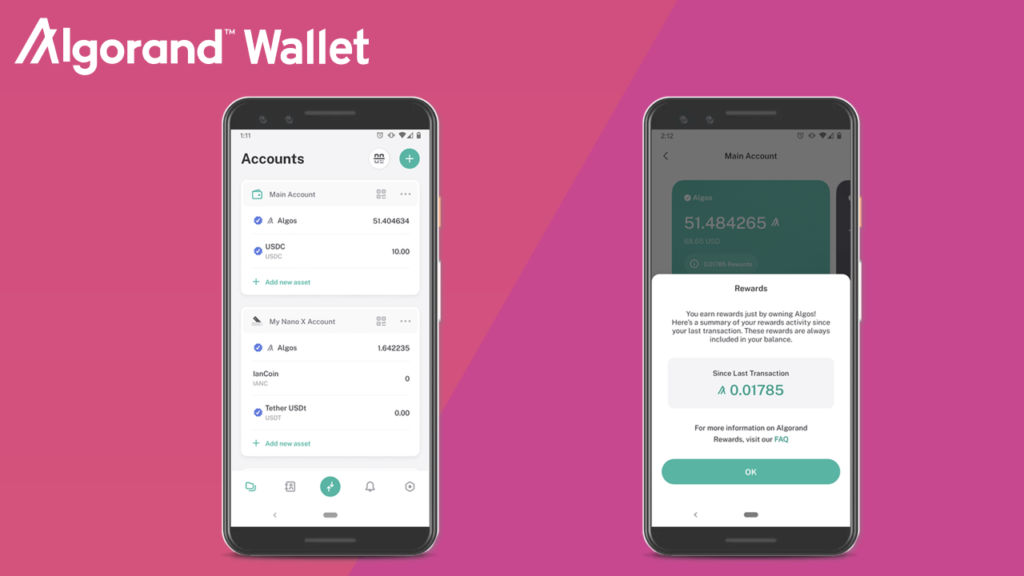 Algorand Foundation – Summer Miao氏：Algorandブロックチェーンの世界普及の取り組みについて訊く（前編 ...