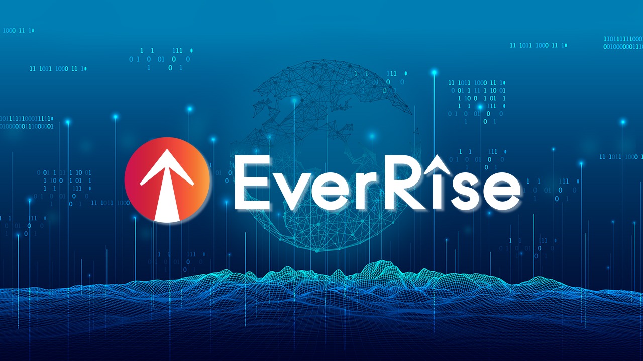 DeFiプロジェクトに信頼を与える EverRise（RISE）の解説 | TOKEN ECONOMIST