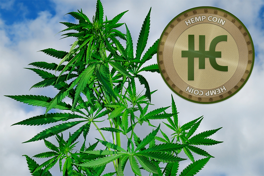 大麻の流通の健全化に貢献する HempCoin (THC) | TOKEN ECONOMIST