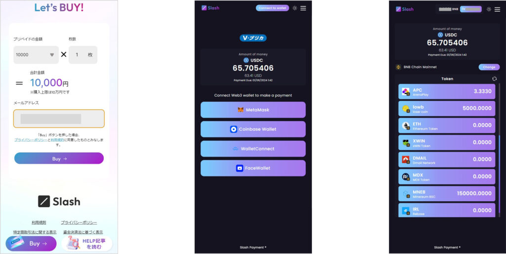 Slash Vision Labs (SVL) の解説 ~暗号資産の支払いソリューション | TOKEN ECONOMIST